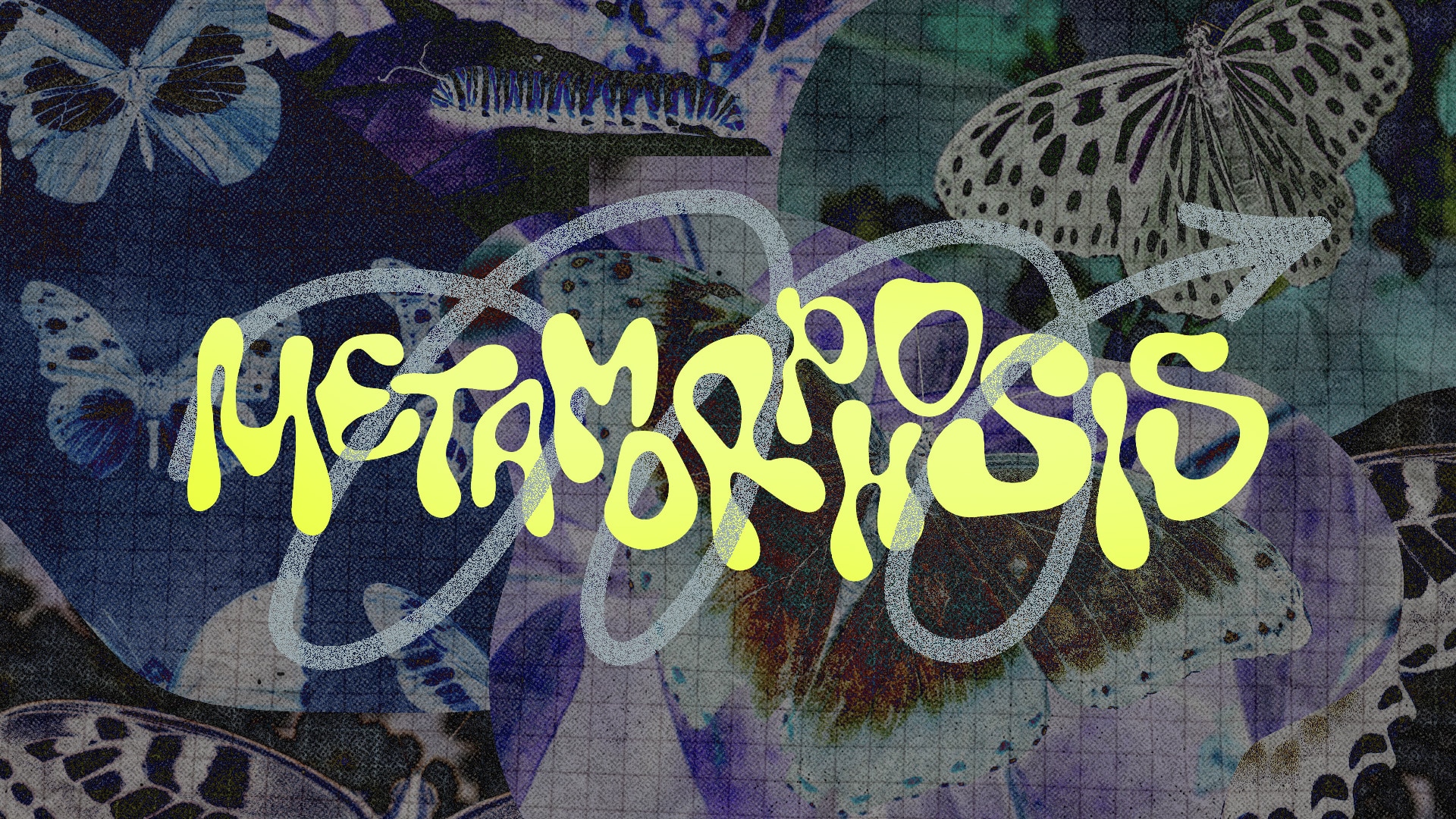 Metamorphosis - Woodside Bible Church