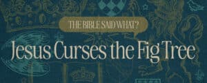 The Bible Said What? Jesus Curses the Fig Tree - Woodside Bible Church